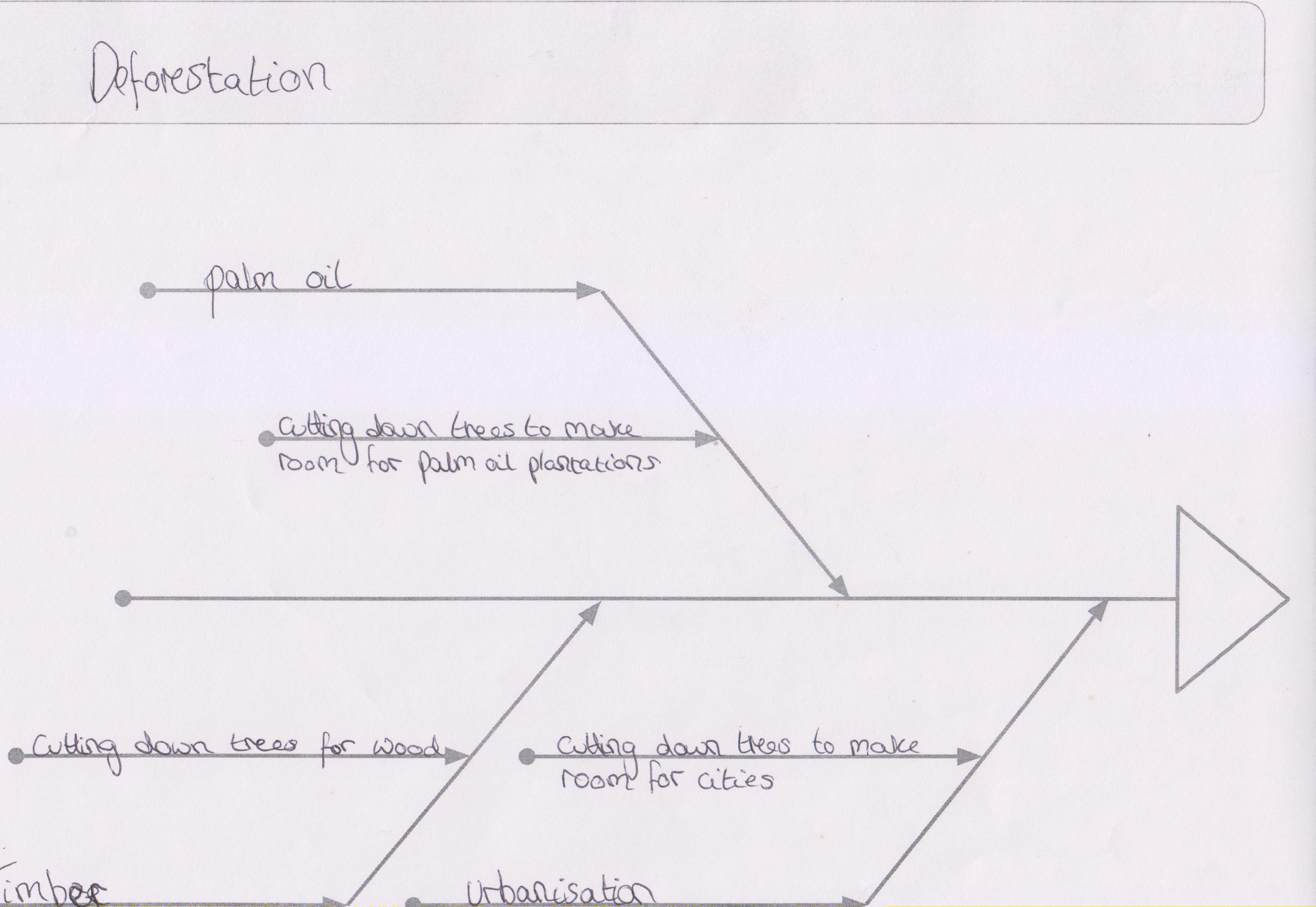 Using A Fishbone Diagram for Writing Cause and Effect Texts – Reading ...